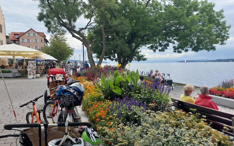 Lake Constance Bike Tour: 11-Nights of Alpine Beauty