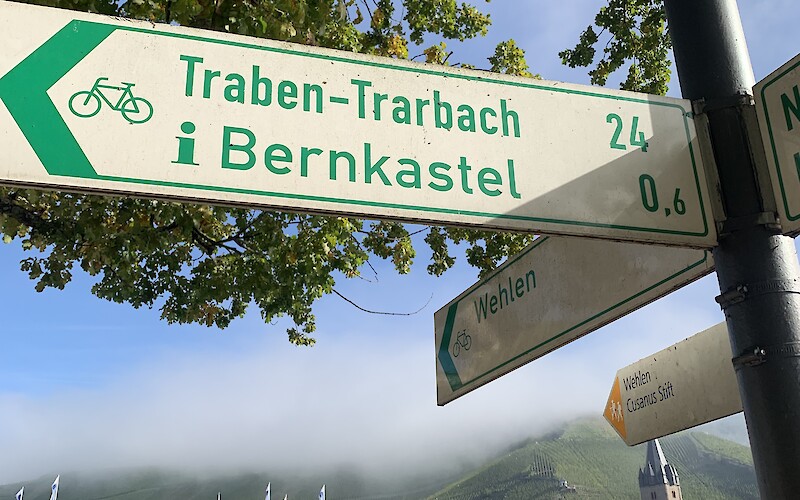 Mosel Bike Tour: Trier to Koblenz Adventure