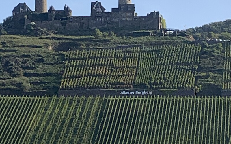 Mosel Bike Tour: Trier to Koblenz Adventure