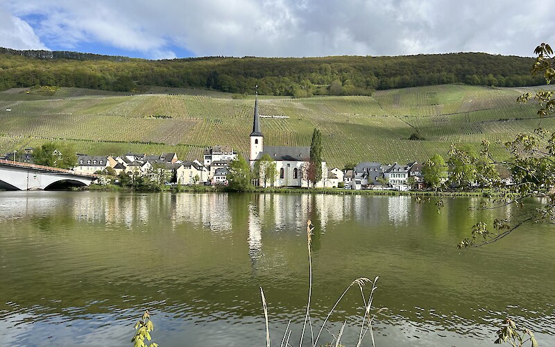 Mosel Bike Tour: Trier to Koblenz Adventure