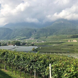 Bolzano - Verona - Venice - BikeTours.com