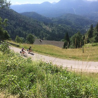 Slovenia Bike Tour: Bled to Piran Highlights