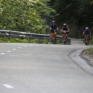 Slovenia Bike Tour: Bled to Piran Highlights